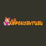 Köpek Yavrusu (İstanbul, Çekmeköy, Mehmet Akif Mah., Ray Sok., 28), i̇nternet portalları  İstanbul'dan