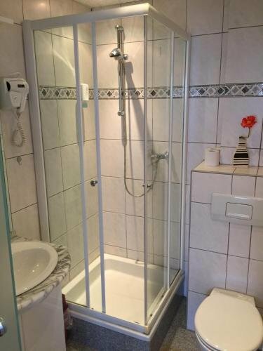 Otel Hotel Rhein Inn, Renanya‑Palatinate, foto