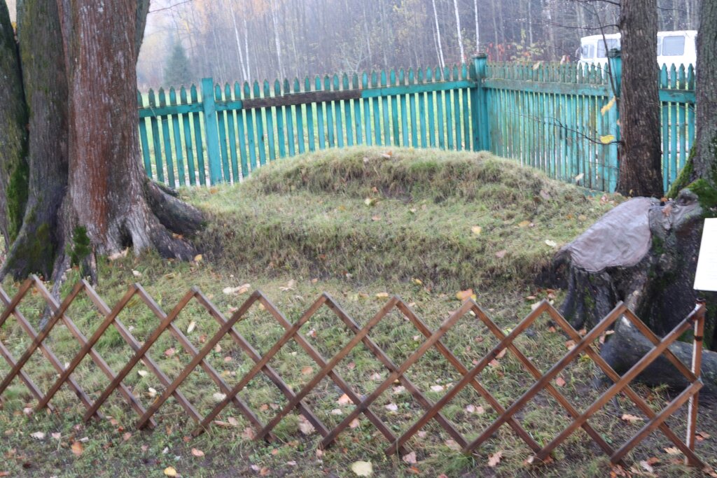 Doğa Дерновый диван и вязы, Moskova ve Moskovskaya oblastı, foto