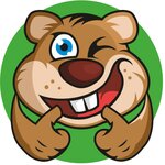 Kormoed (Abaı dańǵyly No:34), petshop  Astana'dan
