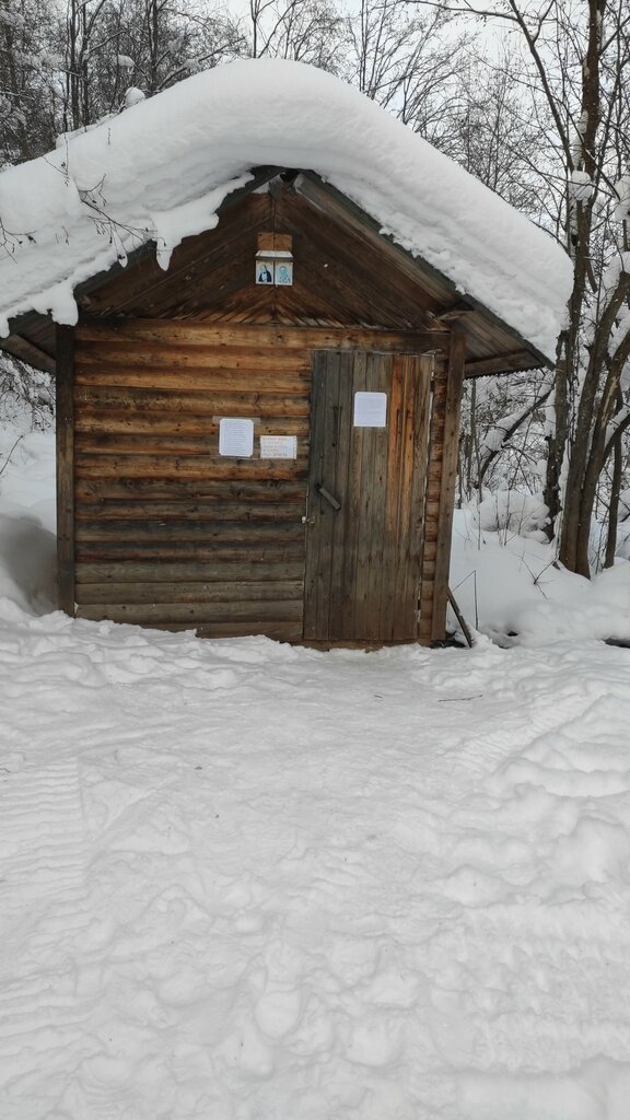 Ortodoks kiliseleri Chasovnya Serafima Sarovskogo V Frolovskoy, Arhangelskaya oblastı, foto
