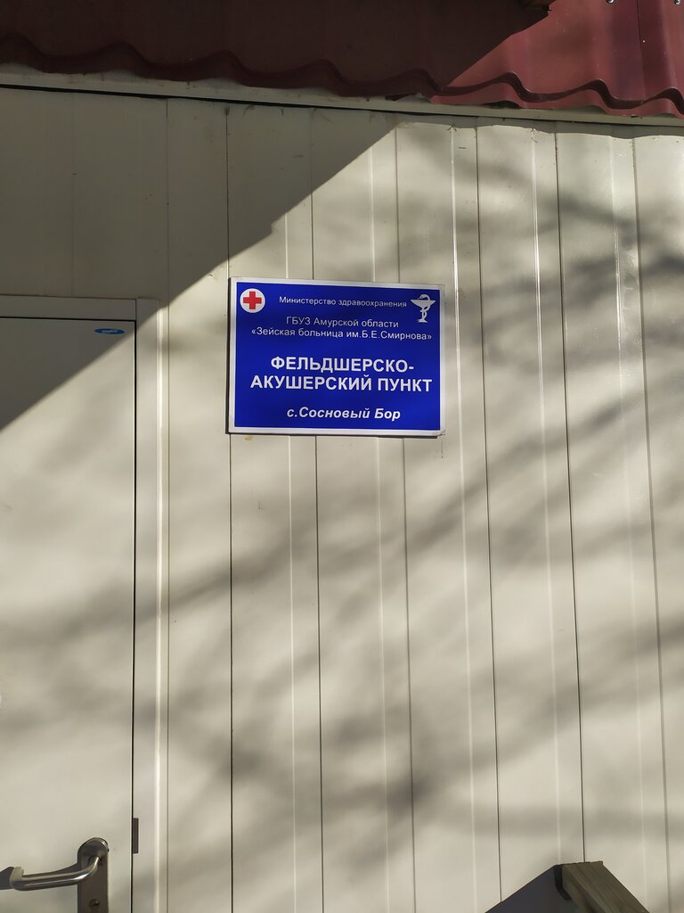 Aile sağlığı merkezi Фельдшерско-акушерский пункт, Amursk Bölgesi, foto