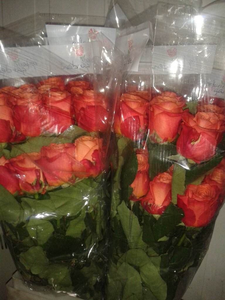 Çiçekçiler Magazin tsvetov, Saratov, foto