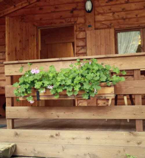 Kamp alanları International Camping Olympia, Dünya, foto