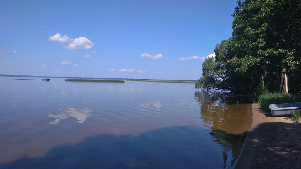 Plaj Пляж, Pskovskaya oblastı, foto