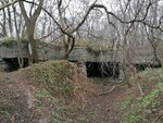 Local reserve of Barbastela (Brest, Local reserve of Barbastela), parklar ve ormanlar  Brest'ten