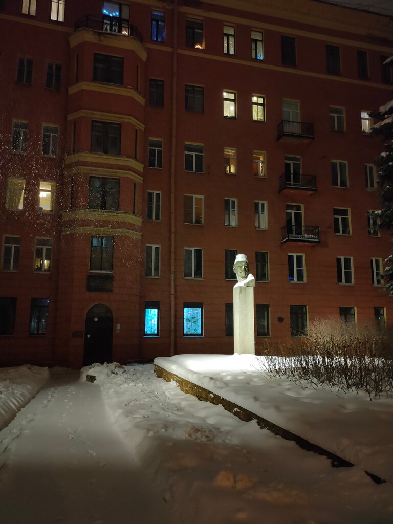 Anıt, heykel В.И. Ленин, Saint‑Petersburg, foto