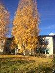 Детский сад № 109 Сказка (ulitsa Ulyanova No:33, rabochiy posyolok Vychegodskiy), anaokulları  Arhangelskaya oblastından