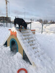 Dog park (Nizhniy Novgorod, Sovetskiy City District, Residential complex Novaya Kuznechikha), köpek gezdirme alanları  Nijni Novgorod'dan