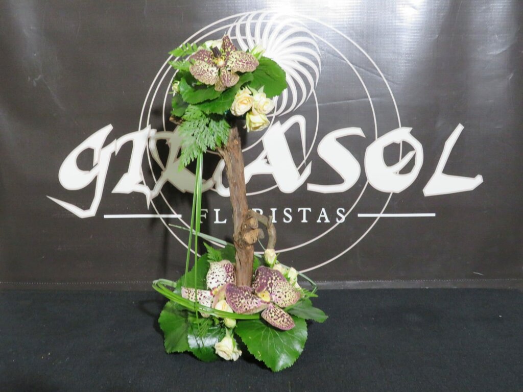 Çiçek teslimatı Floristería Girasol, Galisya, foto