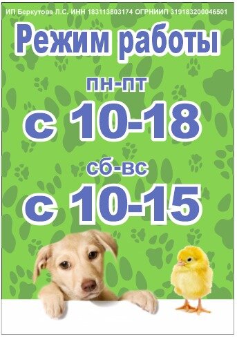 Petshop Зоо-Маг, Sarapul, foto