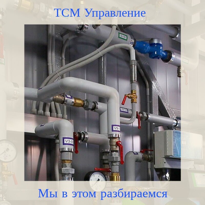 Bina bakım hizmetleri Tcm Management, Moskova, foto