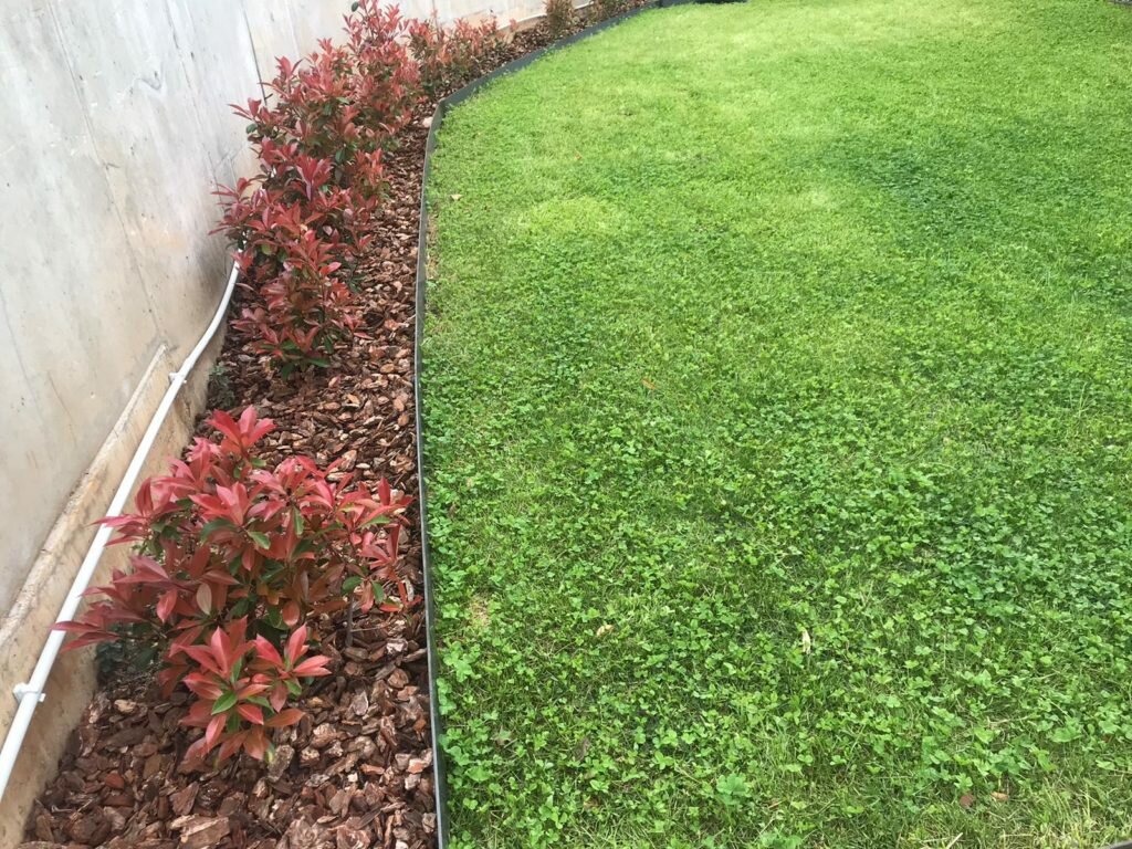 Orman işleri Jardins Oriol, Katalonya, foto