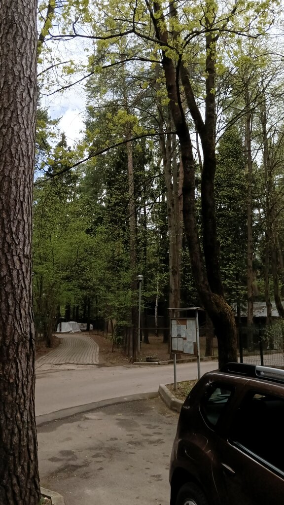 Bahçecilik dernekleri ve kuruluşları Dachno-nekommercheskoye tovarishchestvo Bakovka-Naberezhnaya, Odintsovo, foto