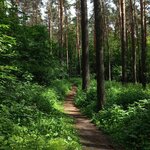 Sosnovy bor (Uchitelskaya ulitsa No:49), kültür ve eğlence parkları  Novosibirsk'ten