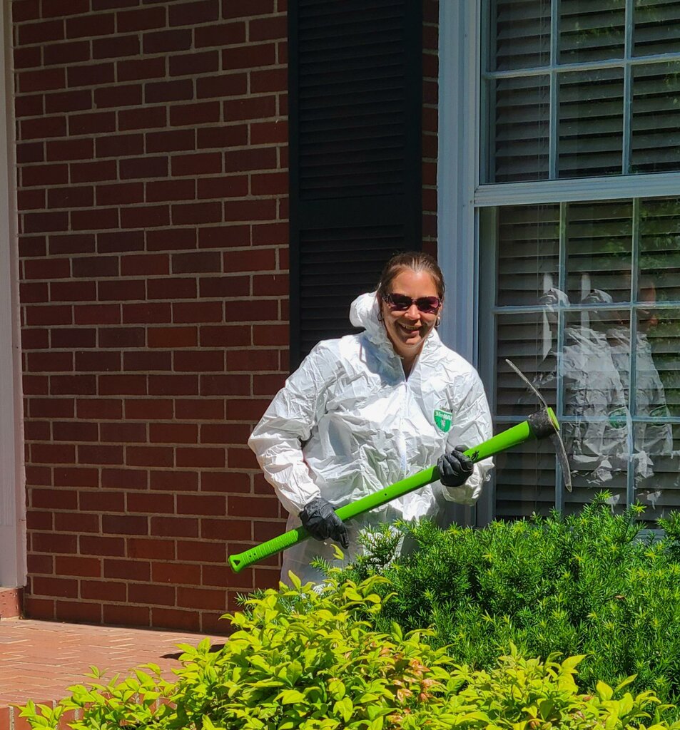 Haşere ilaçlama firmaları Pyramid Pest Control, Tennessee Eyaleti, foto