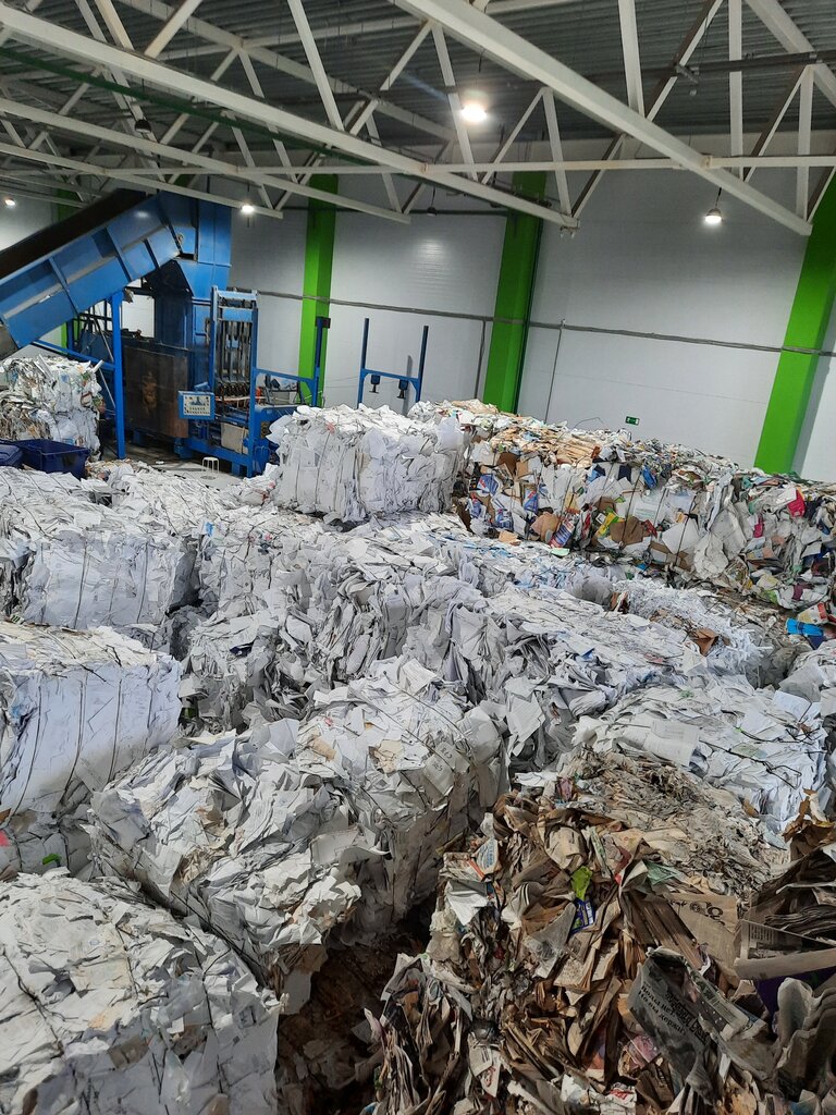 Geri dönüşüm maddeleri Ekologiya Povolzhya, Kazan, foto