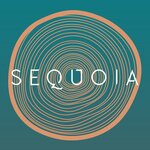 Sequoia (Bolshoy Boulevard No:42с1, Zapadniy Administrative District, Mozhayskiy District, Skolkovo Innovation Center), bilişim firmaları  Moskova'dan