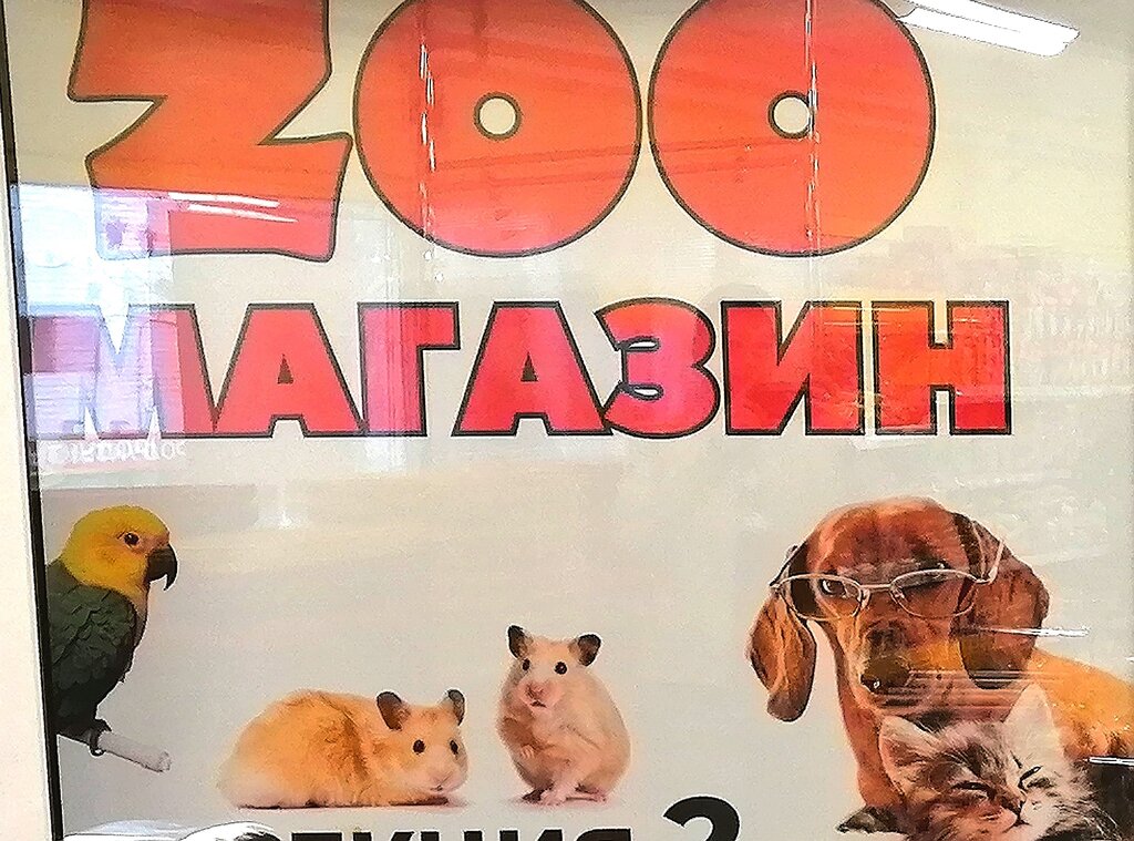 Petshop Zoo магазин, Saint‑Petersburg, foto