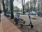 Busy-Fly (Kaliningrad, Telmana Street), bisiklet park yerleri  Kaliningrad'dan