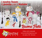 Montini Group (Lombardy, Brescia, Gussago, Brescia, Via Cipro), temizlik şirketleri  Brescia'dan