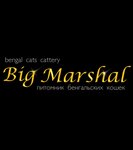Big Marshal (Proizvodstvennaya Street No:7), evcil hayvan yetiştiricileri  Moskova'dan