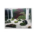 Greenlands Ms SAS (Bogotá, Chapinero, Porciuncula, Calle 72, 6-40), bahçe ekipmanları ve teknolojileri