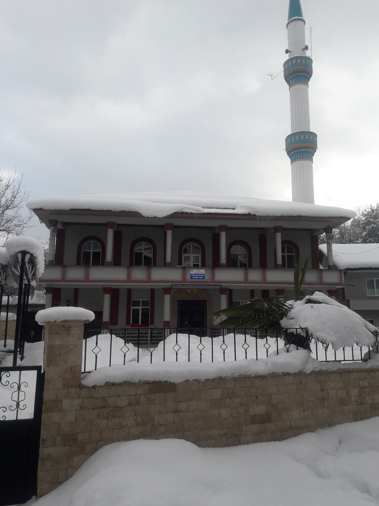 Cami Beycuma Bld Mrk. Cami, Zonguldak, foto