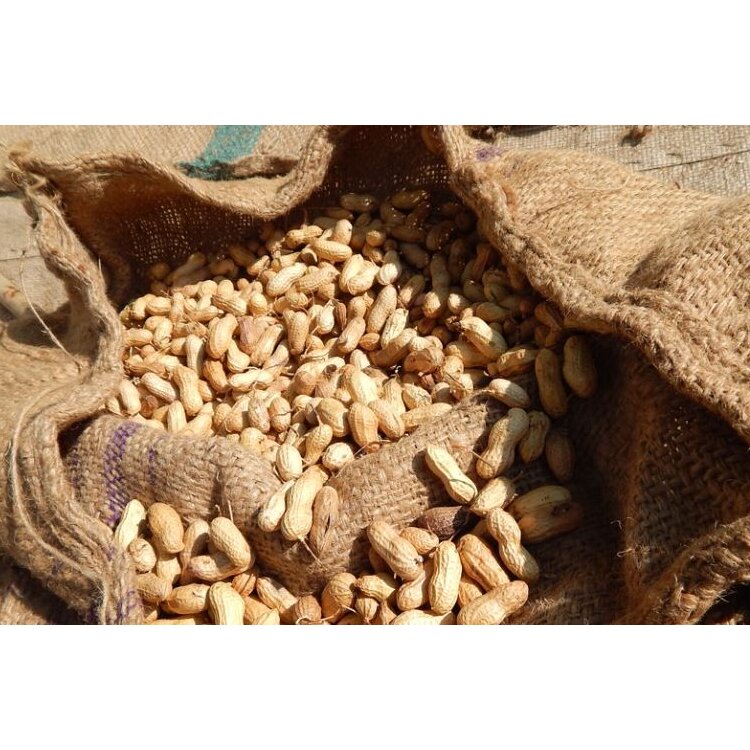 Postahane, ptt Comercializadora Empaques De Santander, Bucaramanga, foto