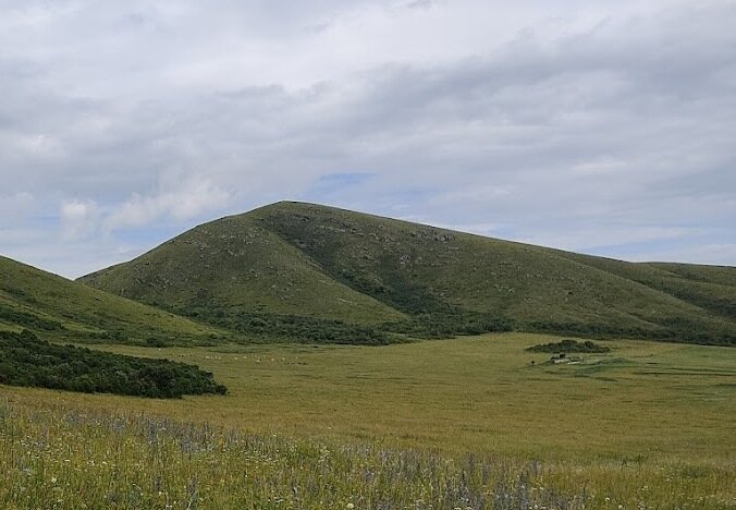 Dağ zirvesi Гора Оструха, Altayski krayı, foto