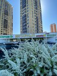 Era Beer (Koltsevaya ulitsa No:3К2, Yantarniy Microdistrict), bira dükkanı  Balaşiha'dan