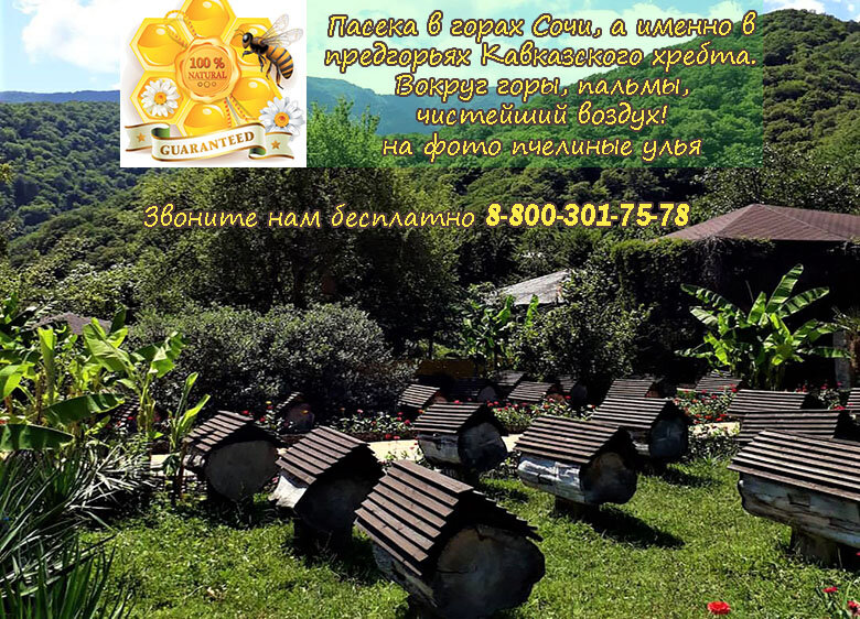 Besin takviyesi, aktariye Клевер Мёд онлайн витрина, Moskova, foto