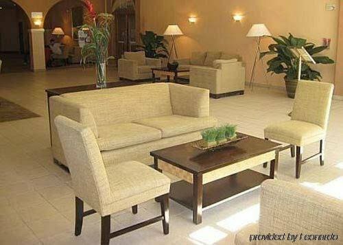 Otel Pension Riedl, Viyana, foto