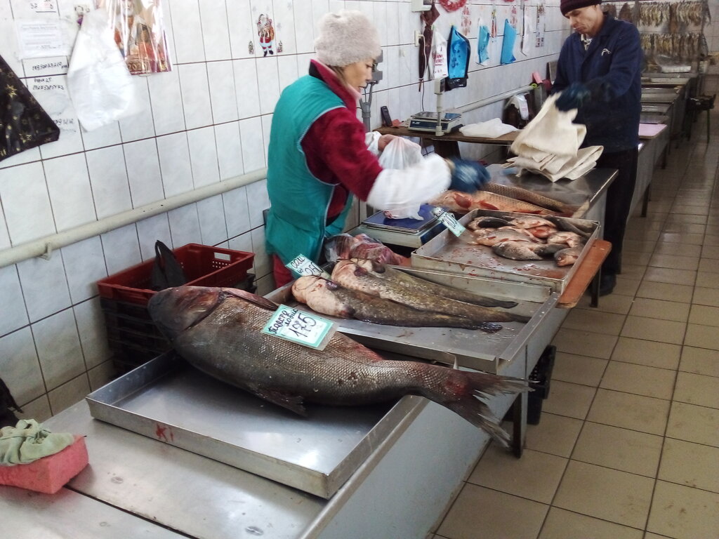 Balık ve deniz ürünleri Свежая рыба, Kamyşin, foto