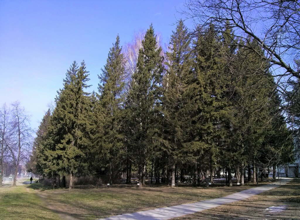 Turistik yerler Аллея космонавтов, Novosibirsk, foto