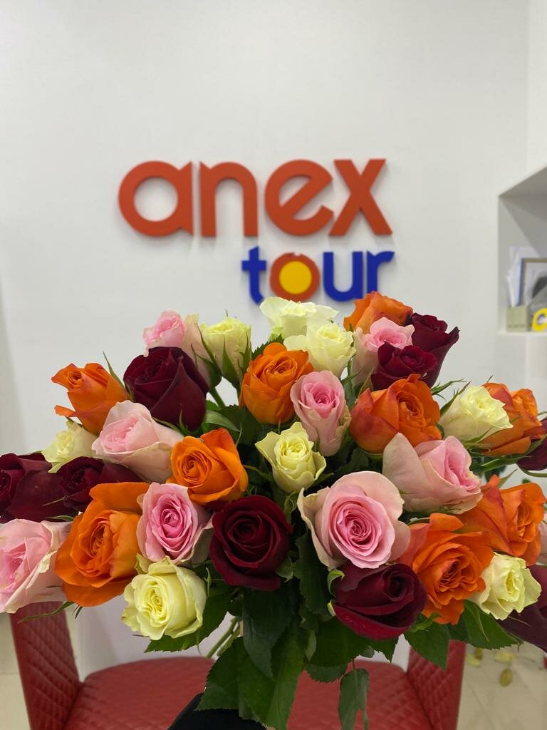 Seyahat acenteleri Anex Tour, Nijnekamsk (Tüben Kama), foto