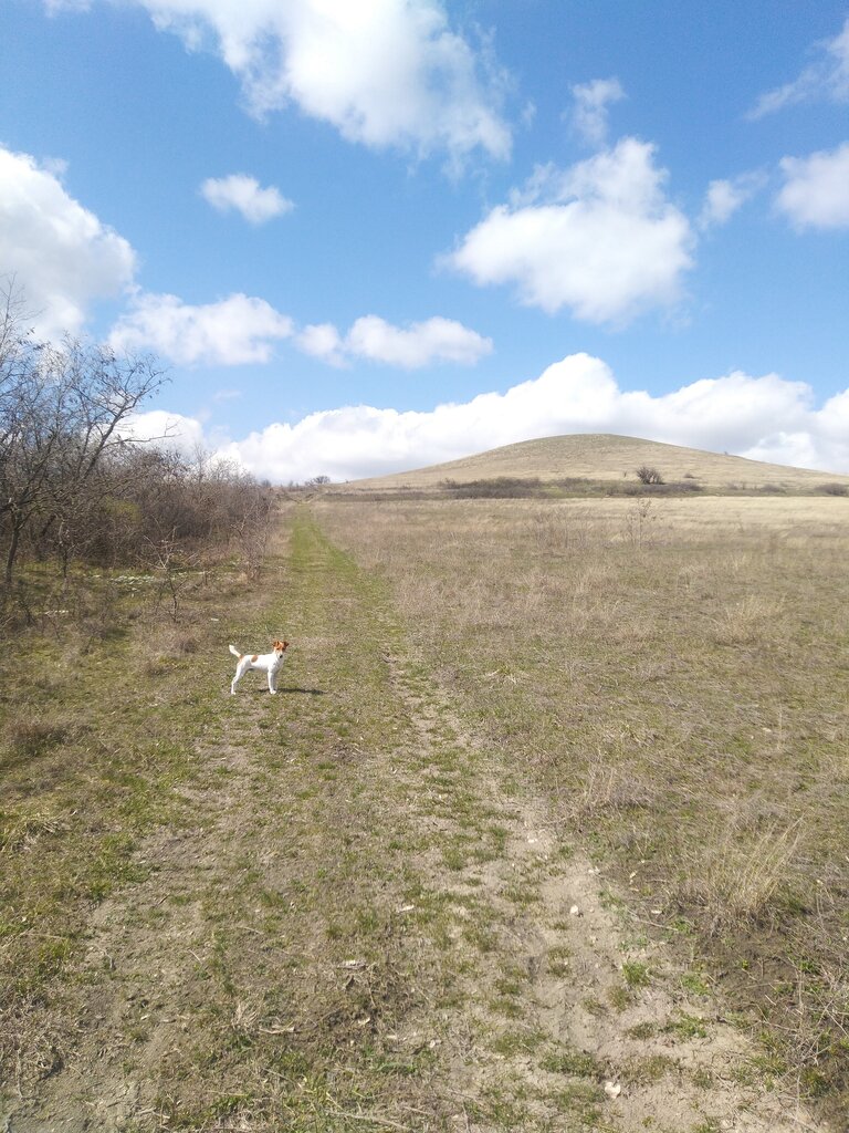 Dağ zirvesi Гора Тюрлю-оба, Kırım Cumhuriyeti, foto