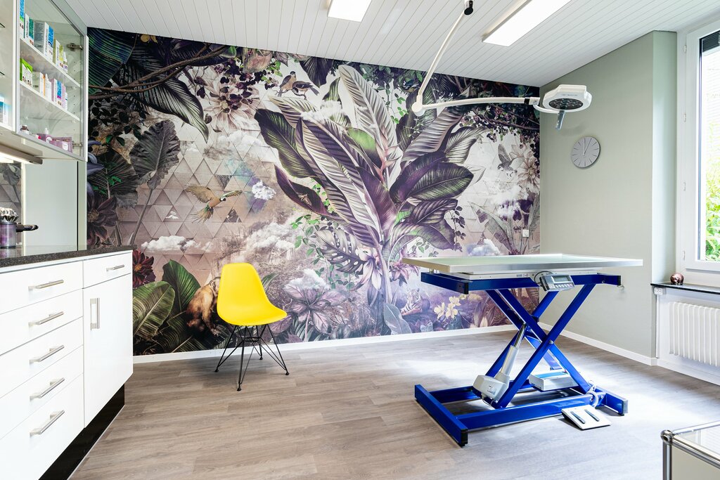 Veteriner klinikleri Kleintierpraxis 54 GmbH, Bern, foto
