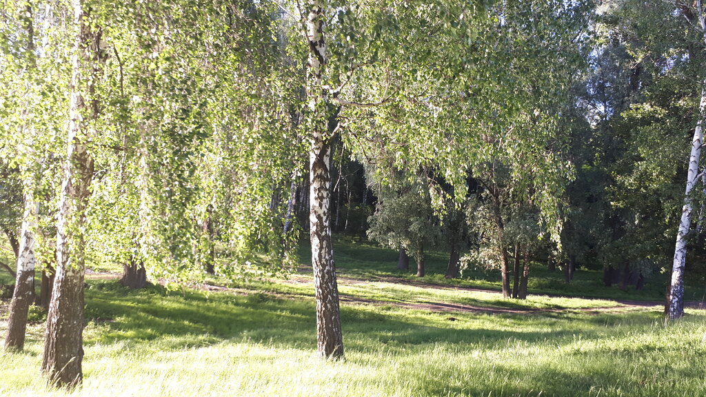 Kültür ve eğlence parkları Талалаївський парк, Çernigov Bölgesi, foto