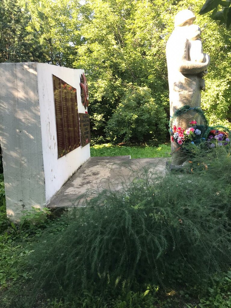 Anıt, heykel Солдат, Novosibirskaya oblastı, foto