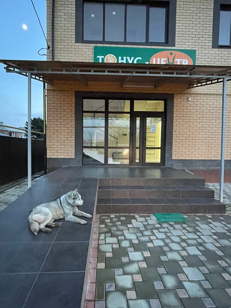 Spor ve jimnastik salonları Тонус центр, Timaşovsk, foto