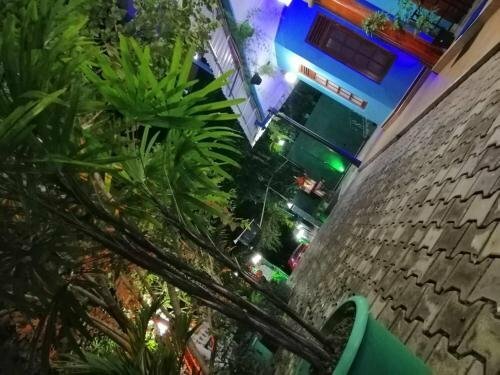 Otel New Blue Home, , foto