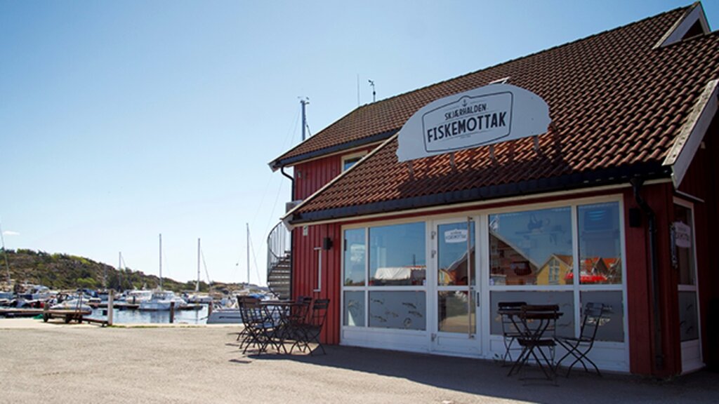 Market Skjærhalden Fiskemottak AS, Dünya, foto