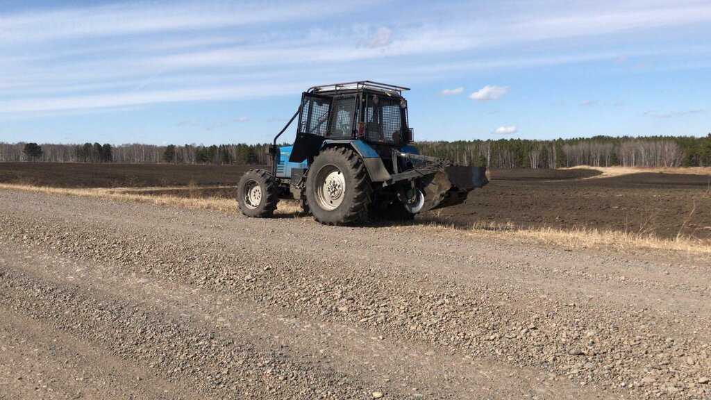 Orman işleri Sukhobuzimskoye Lesnichestvo, Krasnoyarski krayı, foto