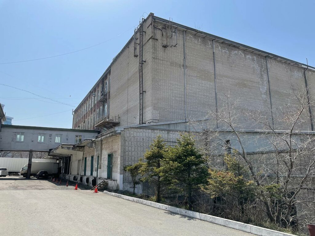 Balık ve deniz ürünleri Vladivostok Fish factory, Vladivostok, foto