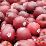 Soltan Frutta e Verdura (Largo la Spezia No:6, Grottammare), market