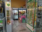 Магазин цветов (Moskovskaya Street No:103), çiçekçiler  Lipetsk'ten