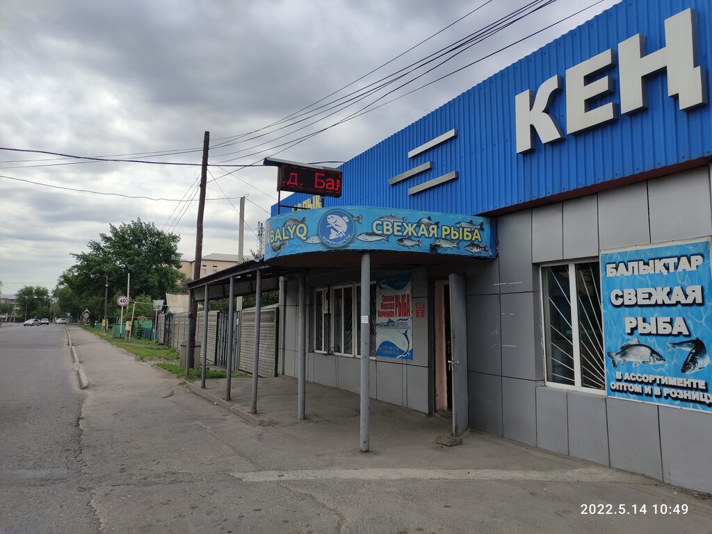 Balık ve deniz ürünleri Fresh Fish, Taldıkorgan, foto
