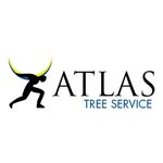 Atlas Tree Service (United States, Lyndhurst, 627 Teneyck Ave.), şehir planlama  New Jersey Eyaleti'nden
