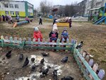 Detsky sad obshcherazvivayushchego vida № 8 g. Usinska Mbdou (60 Let Oktyabrya Street No:1), anaokulları  Usinsk'ten